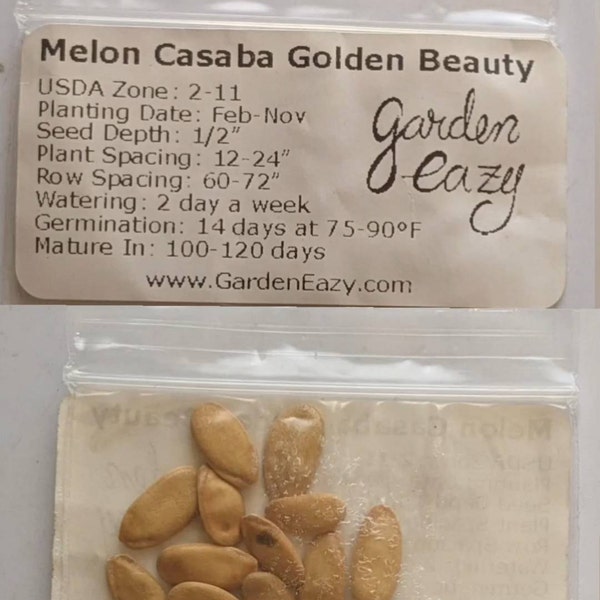 Casaba Melon Seeds - Organic, Heirloom, Open Pollinated, Non GMO - Grow Indoors, Outdoors, in ...