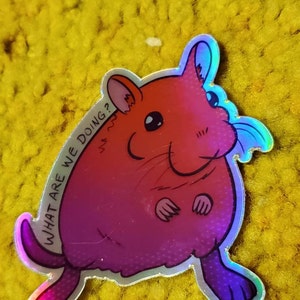 One Eyed Cat Vinyl Sticker - Etsy