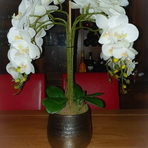 Hadley Rose Bowl Floral Display | Etsy