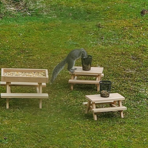 Chicknic Picnic Table for Chickens - Etsy