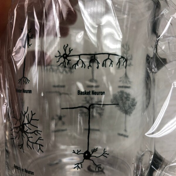 Synapse I'm Thinking Glass Mug, Neuroscience, Psychology, College ...