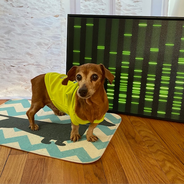 Artistry Meets Genetics: Custom DNA Art for Your Home Decor ...