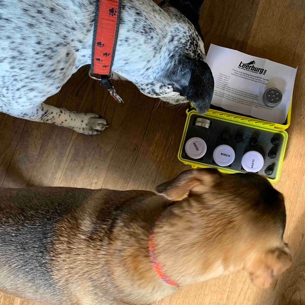 Nosework Kit NACSW BY Leerburg - Etsy