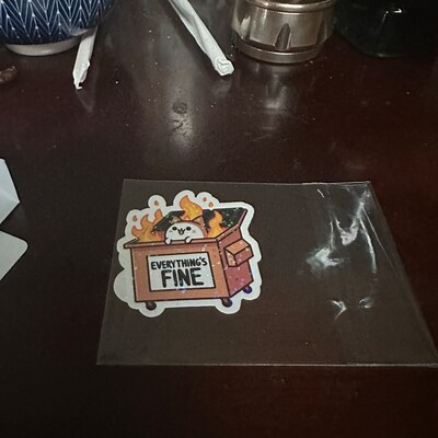 Embrace the Chaos: Everything's Fine Dumpster Fire Sticker Funny Meme ...