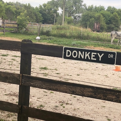 Donkey, Donkey Gift, Donkey Sign, Donkey Decor, Donkey Expert, Donkey ...