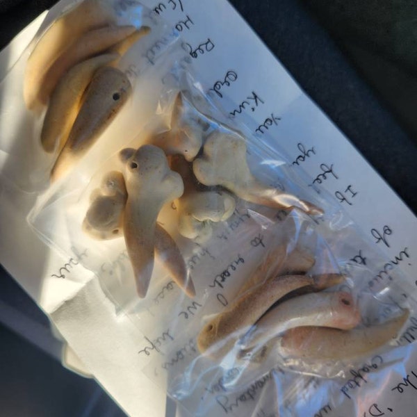 Human Tooth Polymer Clay Human Tooth for Jewelry and Craft Making set ...