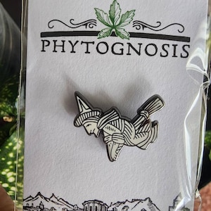 Master Root Oil A Hoodoo Traditional Oil for Mastery Over All Things ...