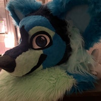 Custom Fursuit 3D Model - Etsy