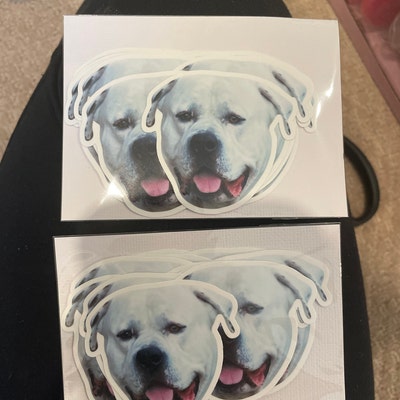 Christmas Stocking Stuffer Sticker of Family Pet - Etsy