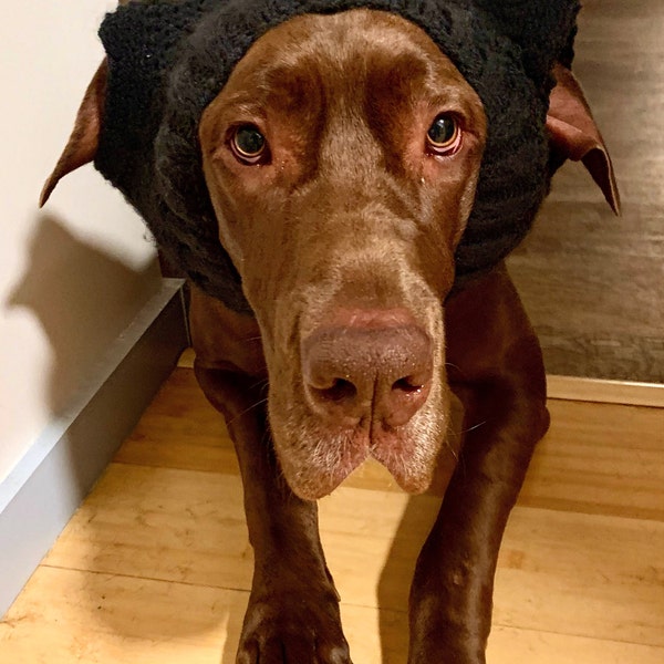 KNITTING PATTERN, Great Dane Dog Hat, DIY Pet Hat, Pet Clothes, Big ...