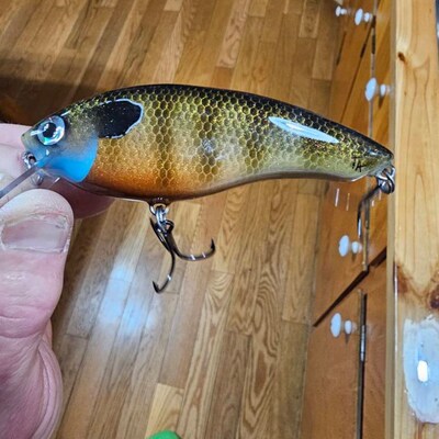 Treysart Handmade Fishing Lure 4.5 Inch Predator Swimbait Bluegill - Etsy