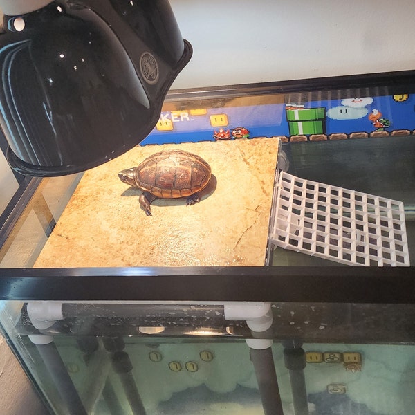Tank Topper Turtle Dock Sits on Top of Your Aquarium and Fits 18-19 ...