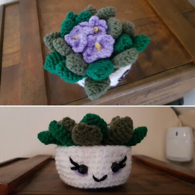 African Violet Crochet Pattern - Etsy