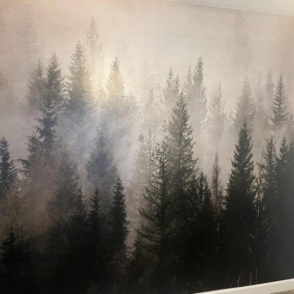 Misty Pine Tree Forest Landscape Wallpaper. Peel and Stick Wall Mural. Bathroom Forest Vintage ...