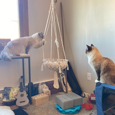 Macrame Hanging Shelf Macrame Kitchen Storage Shelf - Etsy