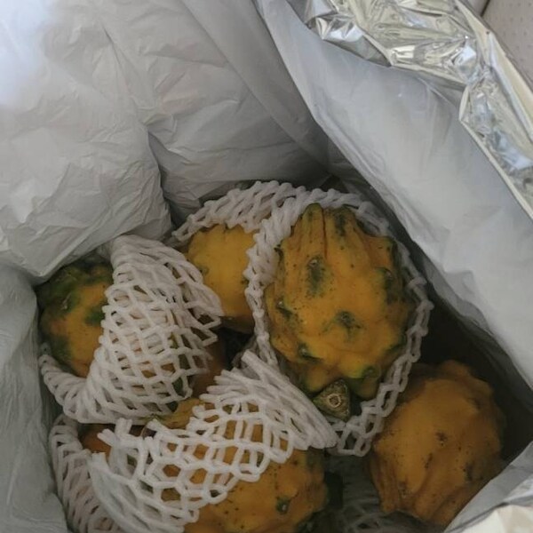 The Pinkglow® Pink Pineapple Gift Box - Etsy