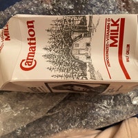 Lost Boys Replica "laddie Thompson" Milk Carton Horror Prop - Etsy Canada