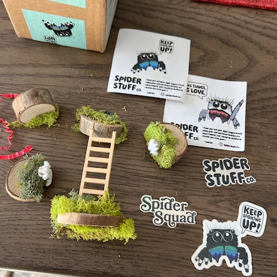 ORIGINAL Modular Spider Enclosure 4 X 4 X 8, Jumping Spider Home ...