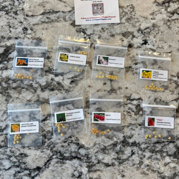 White UFO Hot Pepper Seeds Pack Non-gmo Organic Hot Pepper. Great for ...
