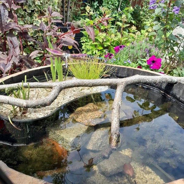 Gloss Black Spider. Made From Stainless Steel Dome Nuts. Scary ...