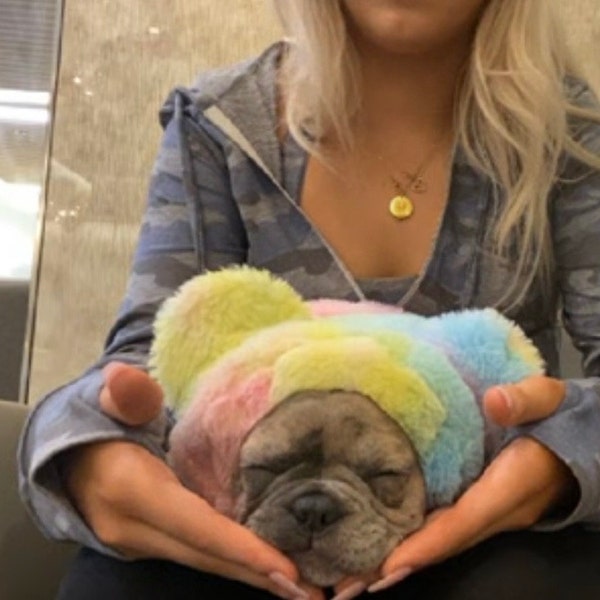 Frenchiestore Organic Dog Frenchie Ear Hoodie | Care Bear - Etsy