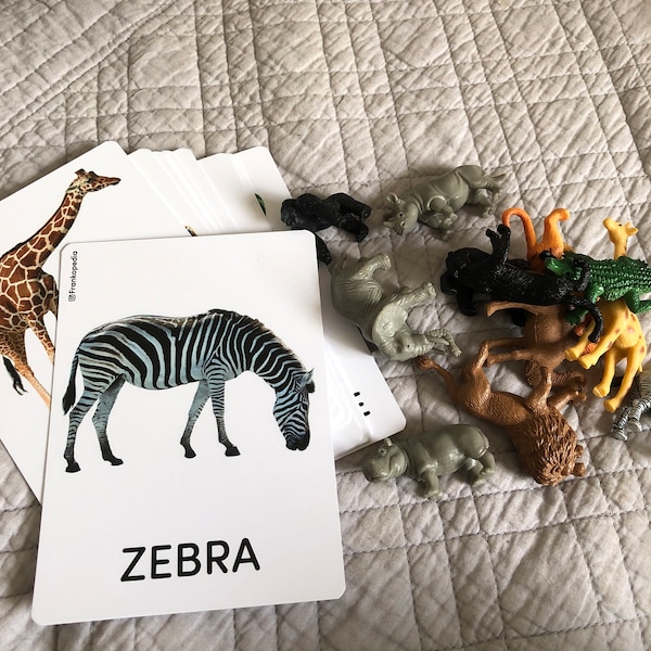 Wild Animals Montessori 3 Part Cards Montessori Home School Educational ...