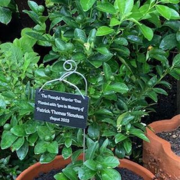 Metal Plaques Sign Marker Metal Name Plates 5x3" Engraved Metal Plaque ...