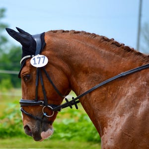Horse RIDING COVER in Cranberry Red Lycra for Your Riding Helmet - Etsy