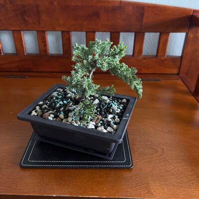 Ceramic Humidity / Drip Tray for Bonsai Pot 8 Inch Tray - Etsy