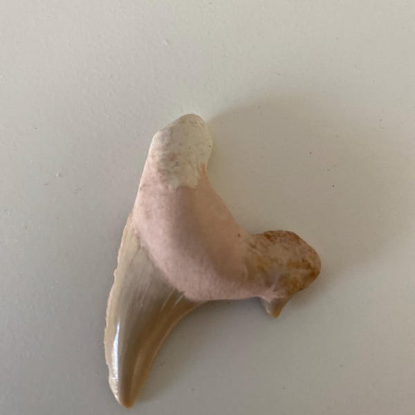 Ibis Jasper Crystal - Polished Ibis Jasper - Ibis Jasper Palm Stone ...