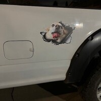 English Shepherd Car Decal, English Shepherd Magnet, English Shepherd ...