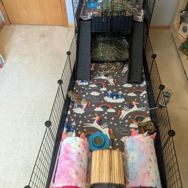 Absorbent C&C Cage Liners for Guinea Pigs, Hedgehogs, Rabbits, Ferrets ...
