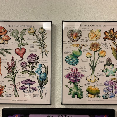 Hyrule Compendium Breath of the Wild Tears of the Kingdom Botanical ...