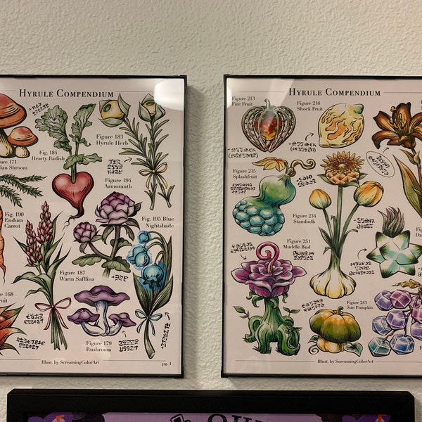 Hyrule Compendium Breath of the Wild Tears of the Kingdom Botanical ...