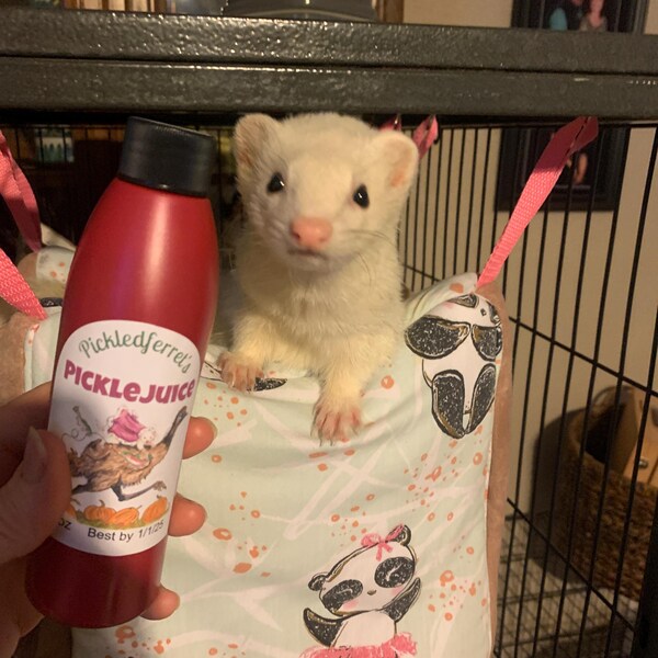 Ferret Emergency Chart and Health Medical Kit List Laminated Quick ...