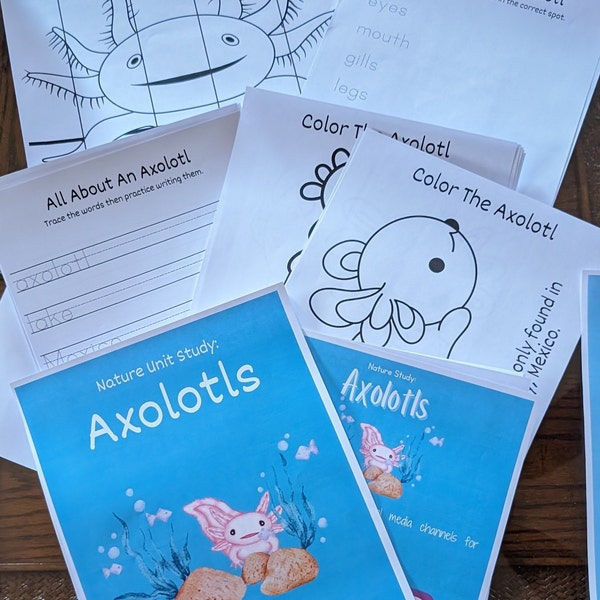 Nature Study Unit: Pumpkins - Etsy