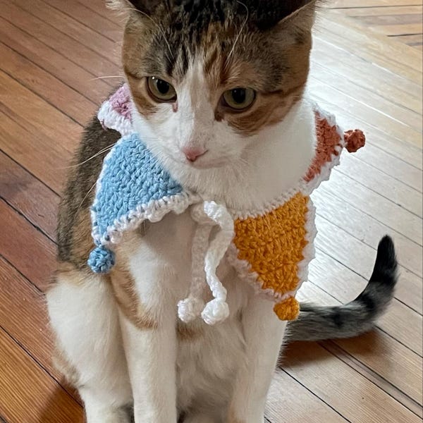 English PDF Pattern, Crochet Pattern, Princess Snow Crochet Collar, Pet ...