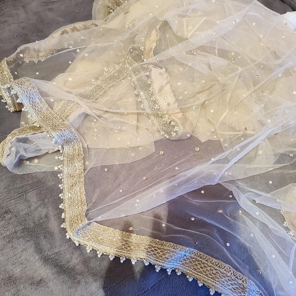 Pakistani Indian Bride Veil, Red Long Trail Wedding Dupatta, Bridal ...