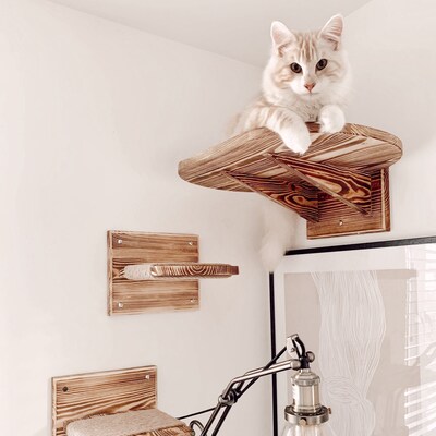 Large Wall Mounted Cat Perch Bed Platform Solid Wood Cat Sleeper Shelf ...