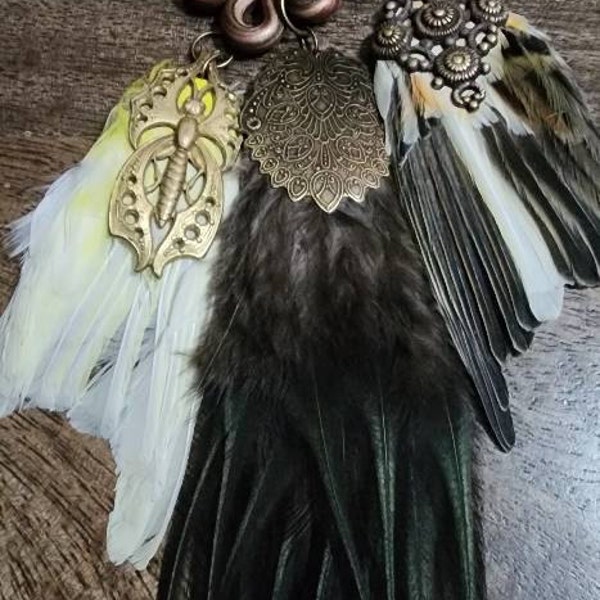 Taxidermy Bird Wings, Real Bird Wing, Chicken Wing, Partial Wing, 8 X 2 ...