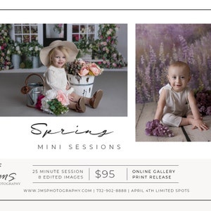 Mini Session Template, Mini Session Marketing, Photography Marketing ...