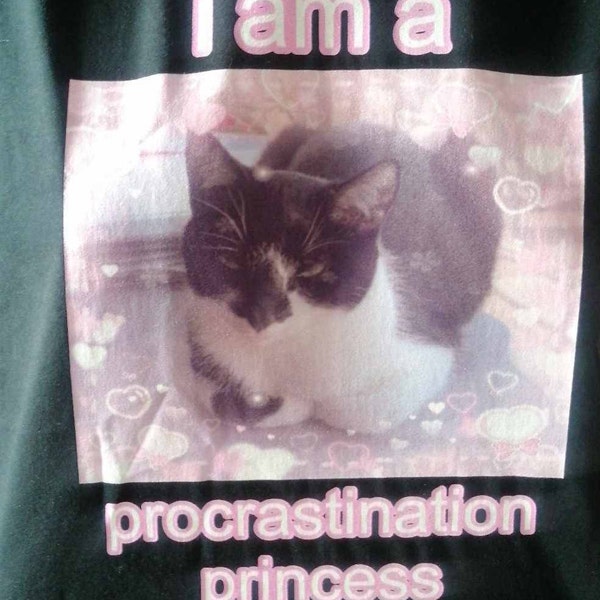 I Am a Procrastination Princess Kittykittyivy Cute Cat Unisex Style T ...