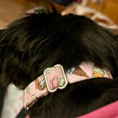ACU Digital Camo Dog Collar by Swanky Pet - Etsy