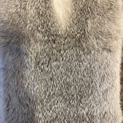 Wild Coyote Pelt Natural Colored Coyote Fur Genuine Wild Animal Skin ...