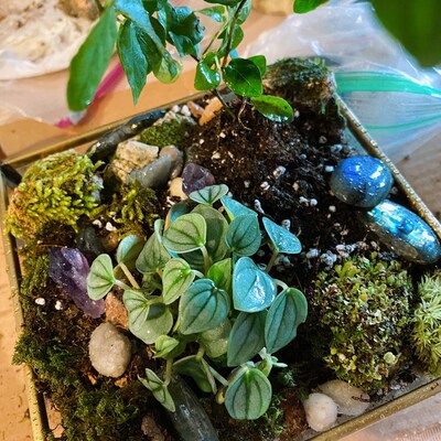 Vibrant Skeleton Acrylic Painting on Dark Blue Canvas - Etsy