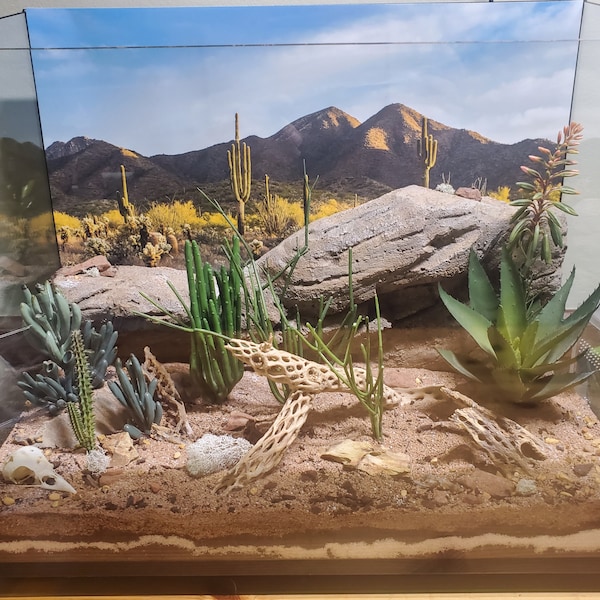 Custom Aquarium / Terrarium Background / Send Us Any Image or Use Our ...