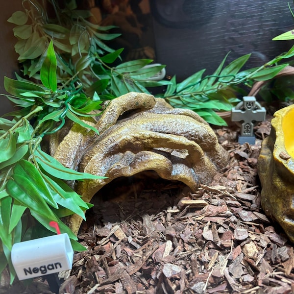 Reptile Climbing Ramp, Bearded Dragon Basking Platform, Rock Wall ...