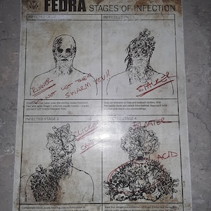 STAGES of INFECTION Cordyceps Flyer, the Last of Us, High Quality ...