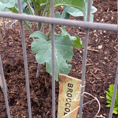Garden Markers, Herb Stakes, Fruit & Vegetable Labels Handmade Ceramic ...