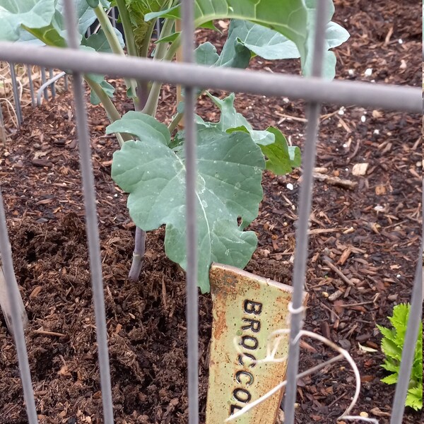 Garden Markers, Herb Stakes, Fruit & Vegetable Labels - Handmade ...